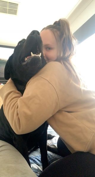 Megan Corless發布的 PetBacker寵物時段。歡迎加入 PetBacker App!