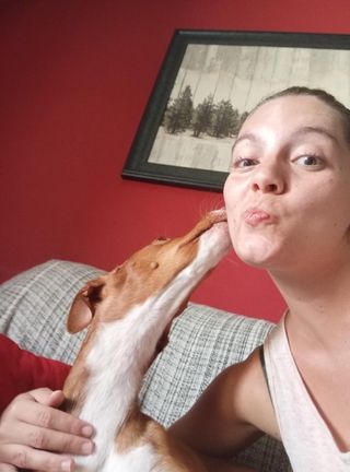 Pet Taxi Transport in L Hospitalet De Llobregat | Transportes Seguros ...