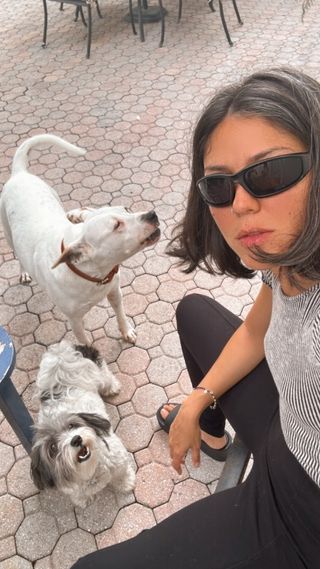 Pet Daycare in Rincón Puerto Rico, Rincón | Rincónpr_cuidadora ...