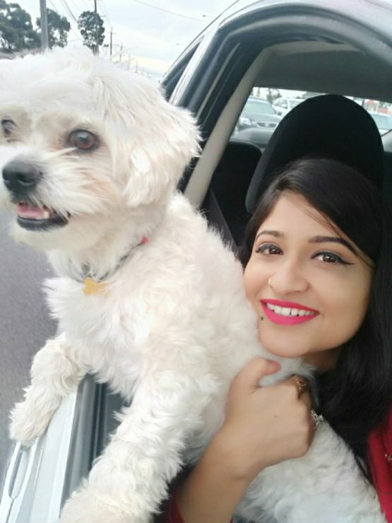Dog Walking in Melbourne , Meadow Heights | Melbourne Pet Walking ...