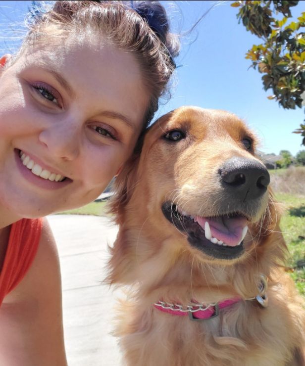 Dog Walking in Sarasota , Sarasota | Sarasota Dog Walking | PetBacker ...