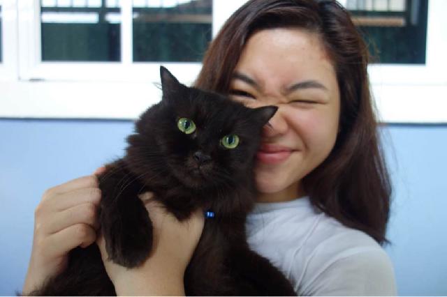 Pet Sitter in Melbourne CBD, Carlton | Lisa The Cat Lady Melbourne ...