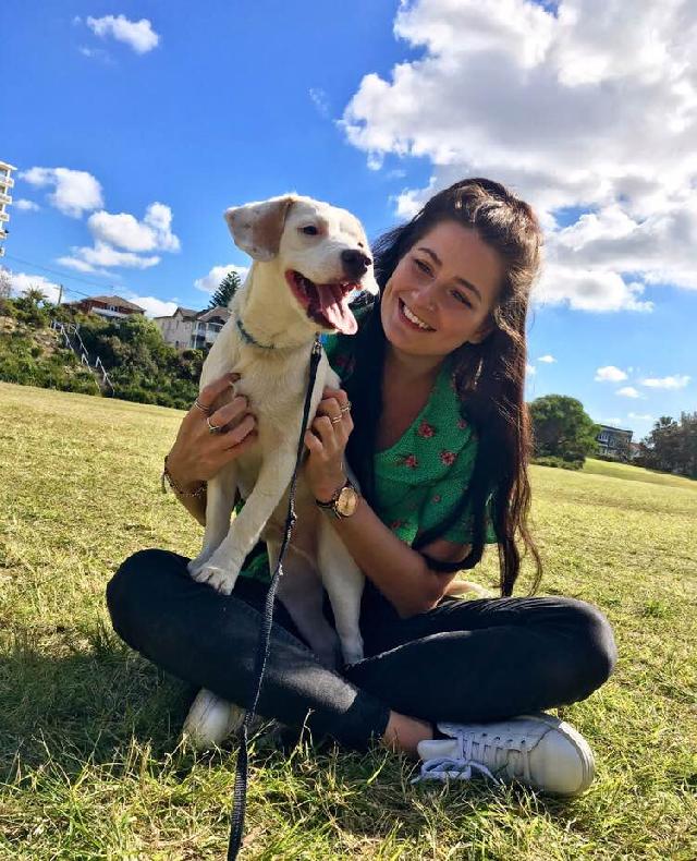 Dog Boarding in Belgrave Street, Chelmsford | Emily Dog Boarding ...