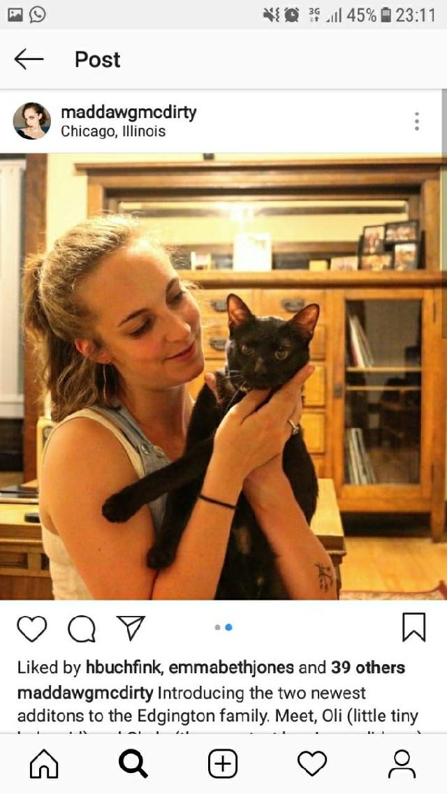 A Good Bio For Dog Walker