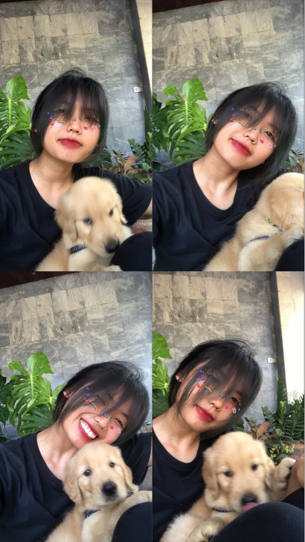 Pet โรงแรมรับฝากสัตว์เลี้ยงตามบ้าน ใน โรงงานน้ำดื่มแบมบู, , | บ้านเรา ...