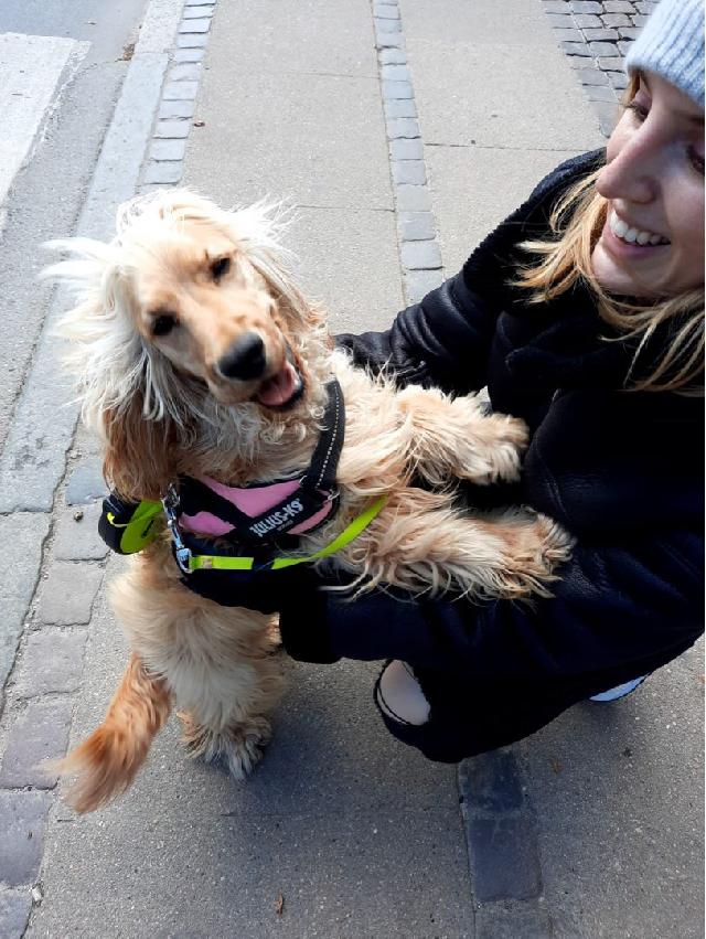 Pet Hotel Home Pet Boarding in Husumgade, Copenhagen | Amager Over ...