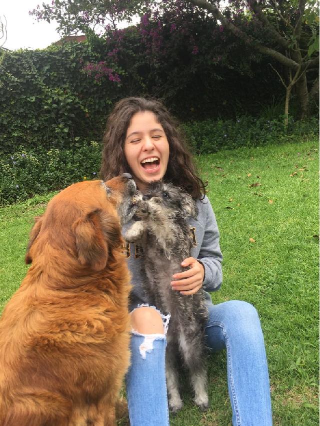 Pet Hotel Home Pet Boarding in Quito, Conocoto | Tu Mascota Feliz ...