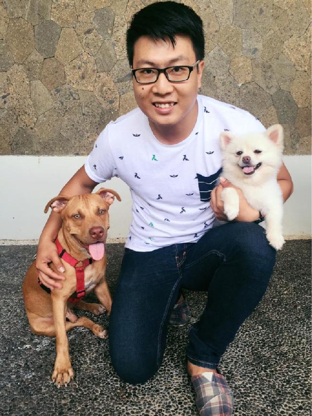 Pelatihan Hewan Peliharaan di Jalan Pura Banyu Kun, Kota Denpasar | Dog ...
