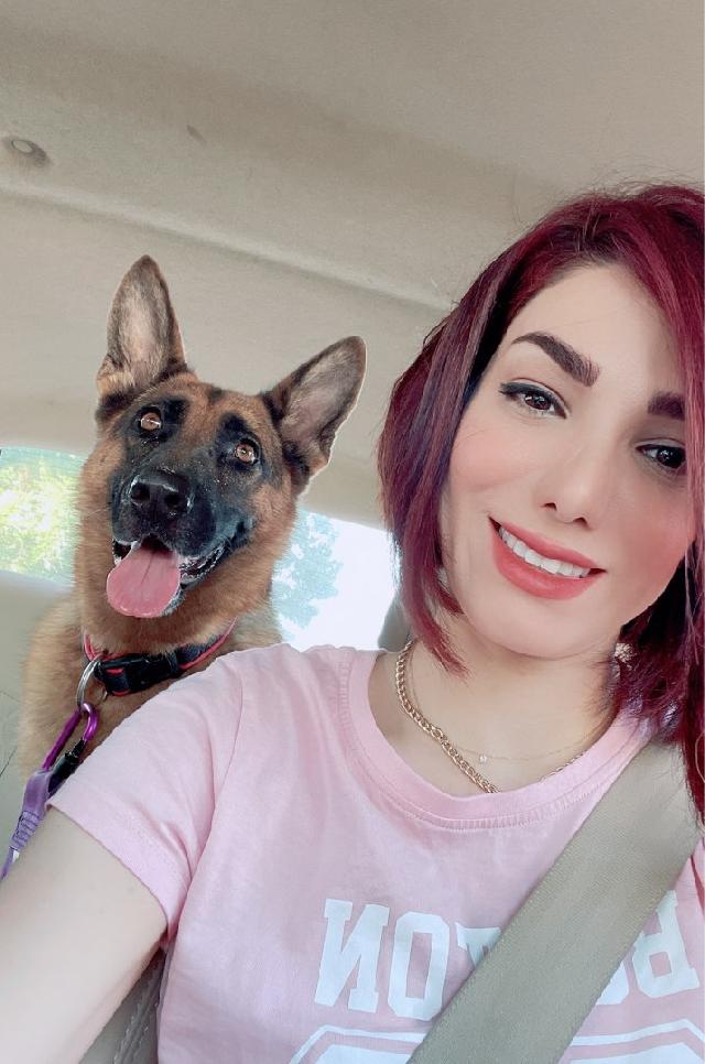 Dog Hotel Home Pet Boarding in South Mawuleh muscat, Al Mawaleh South ...