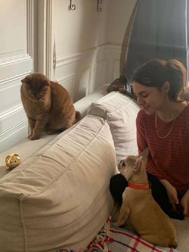 Pet Hotel Home Pet Boarding in rue des bourguignons, Montpellier ...
