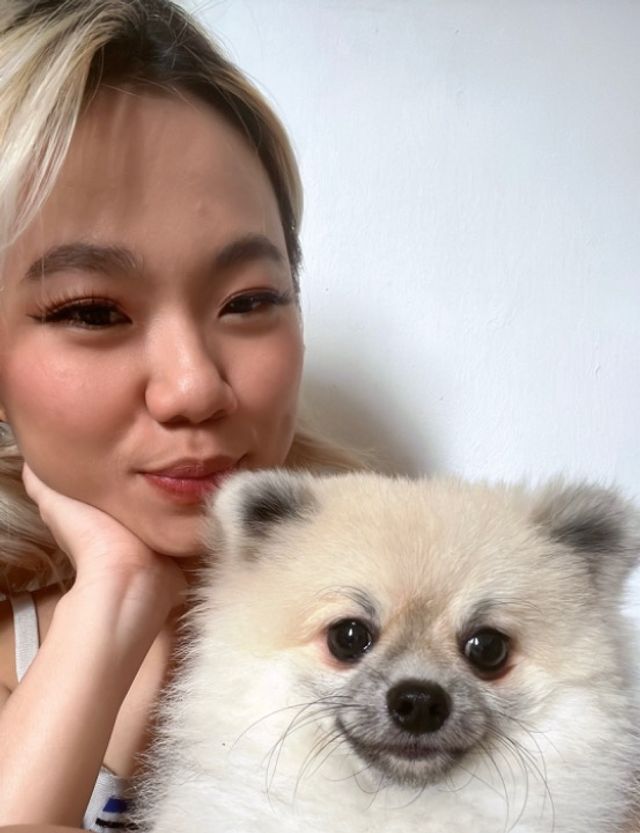 Pet Hotel Home Pet Boarding In Subang Jaya Ann s Pet Boarding pet-hotel-home-pet-boarding-in-subang-jaya-ann-s-pet-boarding