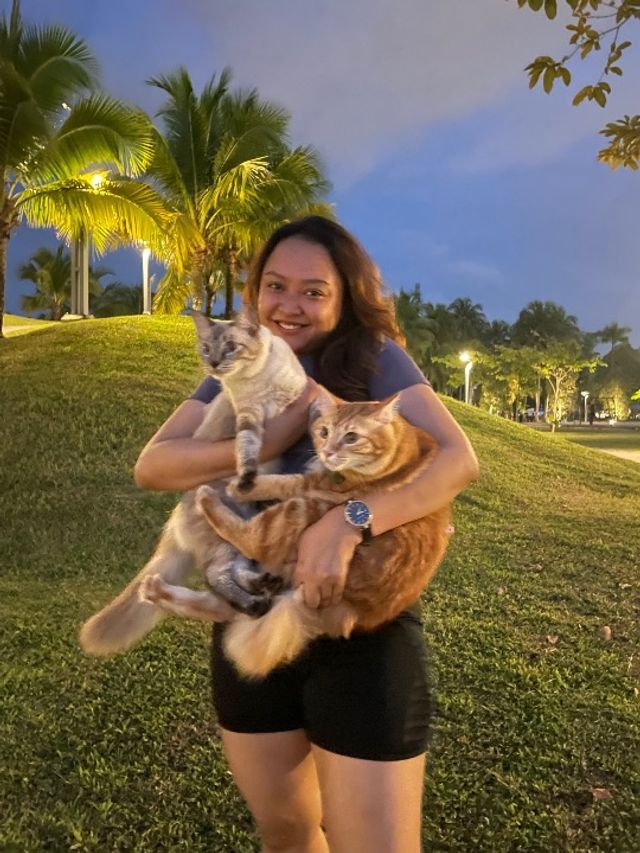 Sentul Kuala Lumpur Best Pet Hotel Home Boarding @ KL | PetBacker | Sha ...