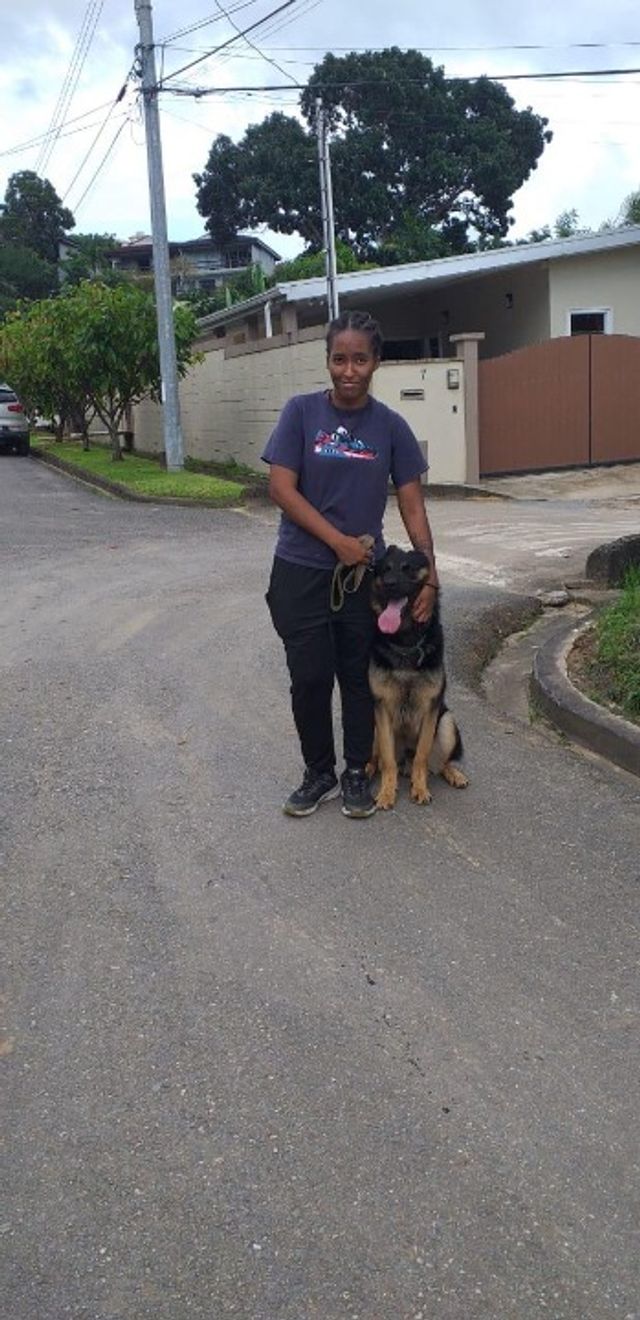 Dog Walking in Trinidad and Tobago, San Juan | Asiya Doggie Business Tt ...
