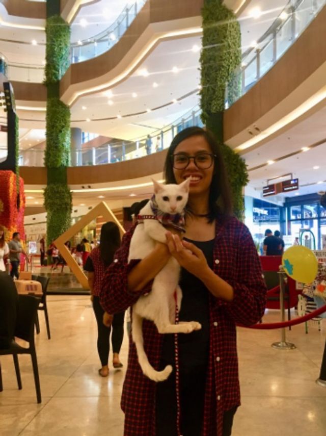 Pet Sitter in Cebu City, Minglanilla | Cebu Cat Care | PetBacker ...