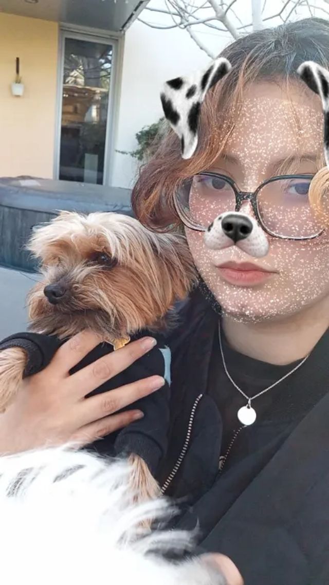 MascotaGuardería para mascotas en Tarragona, Tarragona | Tarragona ...