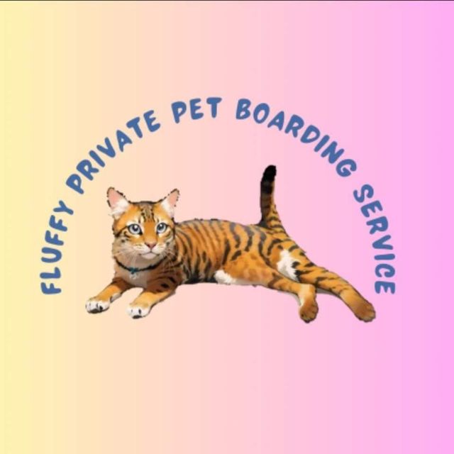 Pet Taxi Transport in Jalan Kia Peng, KL | Fluffy Taxi | PetBacker ...