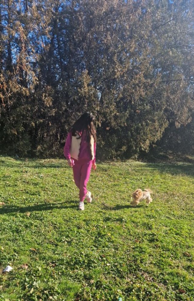 Pet Sitter in Northfield , Faribault | Northfield Dog Sitting ...