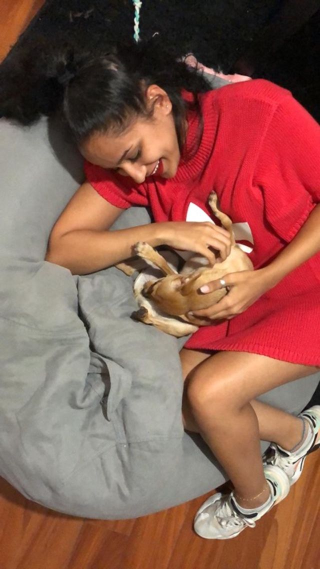 Pet Hotel Home Pet Boarding in Rua de Ceuta, Porto | Foz Farah Boarding | PetBacker Porto