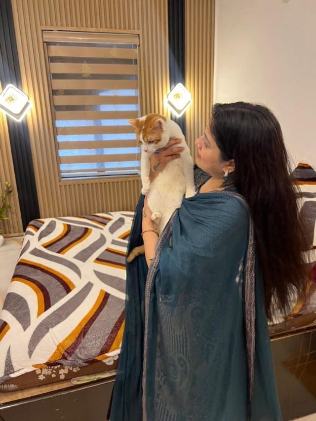 Pet Hotel Home Pet Boarding in Delhi NCR, New Delhi | Nidhi_Cat ...