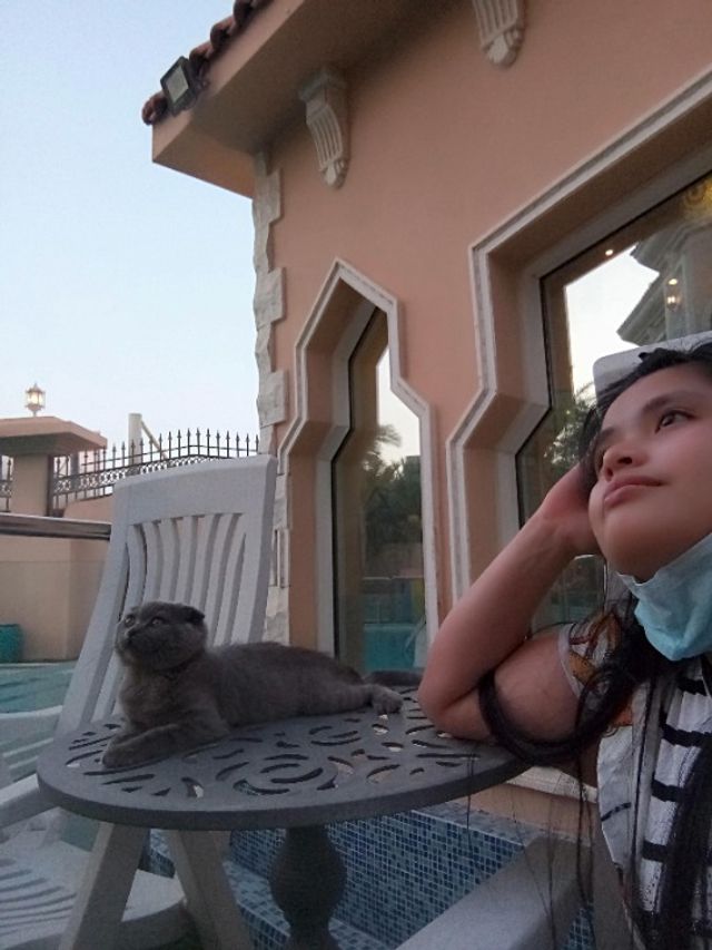 Pet Hotel Home Pet Boarding in Am near at almeera a, Doha | Cocos ...