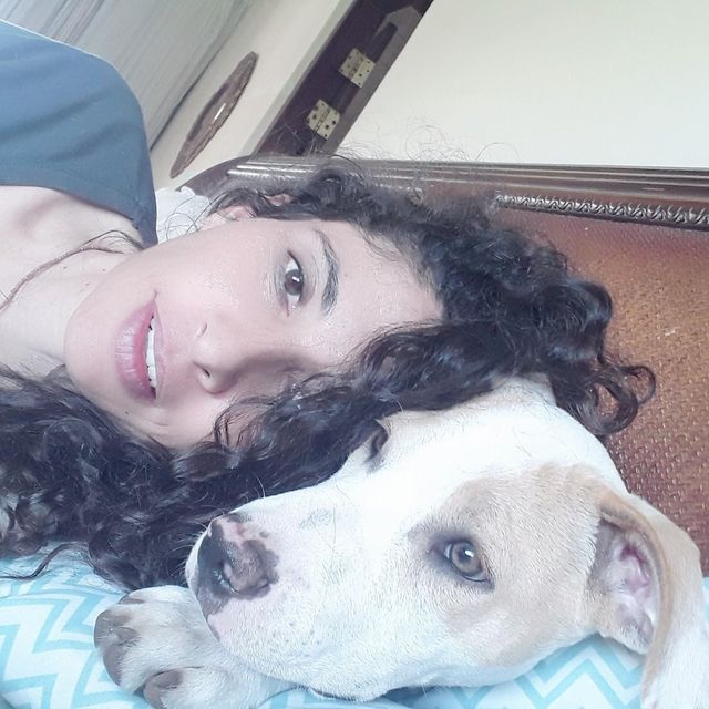 Pet Hotel Home Pet Boarding in Santa Ana, lindora. , Lindora | Pet Love ...