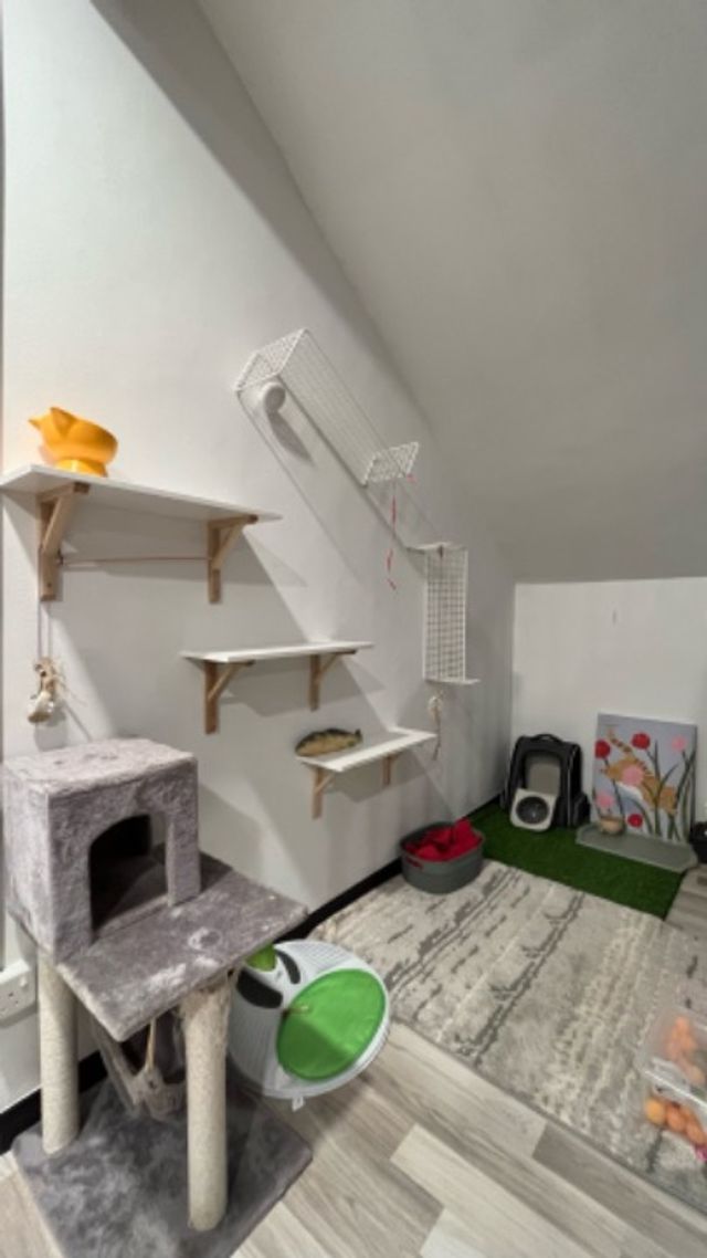 Pet Hotel Home Pet Boarding in Kota Kinabalu, Signa, Kota Kinabalu | Penthouse Cat Boarding ...