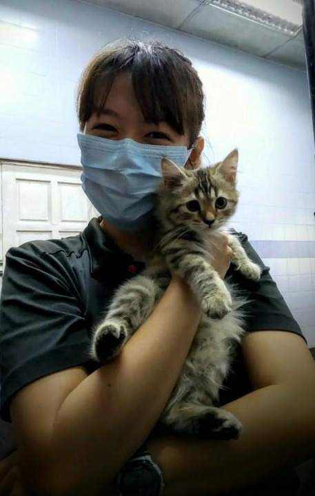 Pet Hotel Home Pet Boarding in Kuala Lumpur | Haustier Pet Airbnb ...