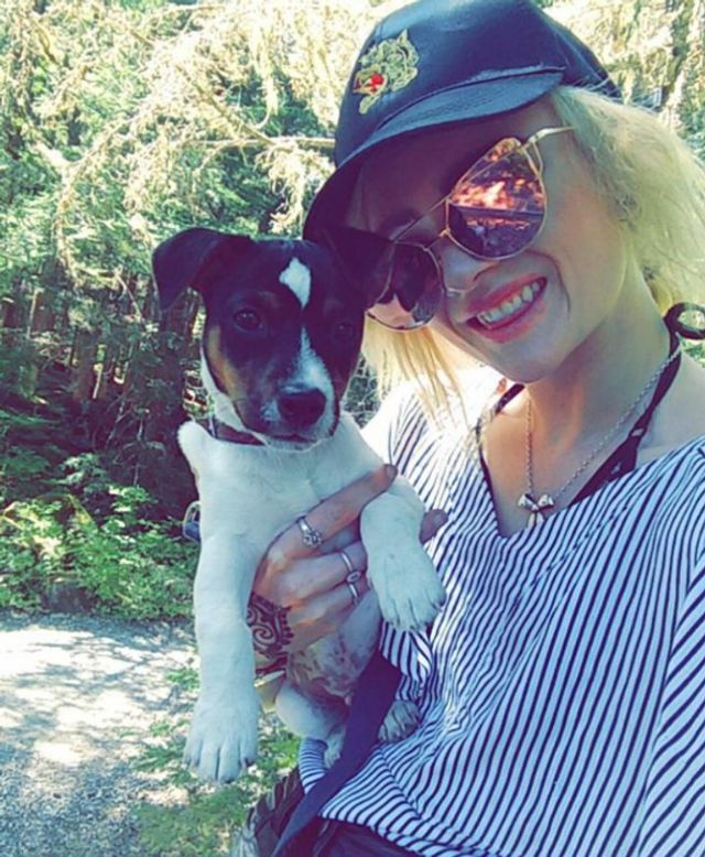 Pet Daycare in Auckland, north shor, Auckland | Angel Paws & Co In ...