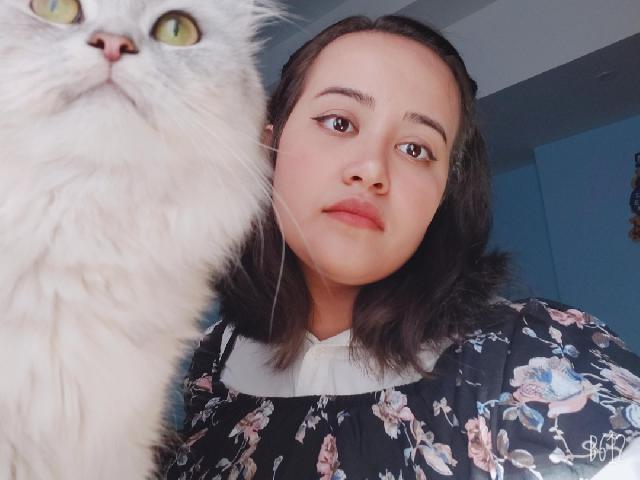 Pet Daycare in Sheikh Zayed City | 6th Of October City, Amira, Cats ...