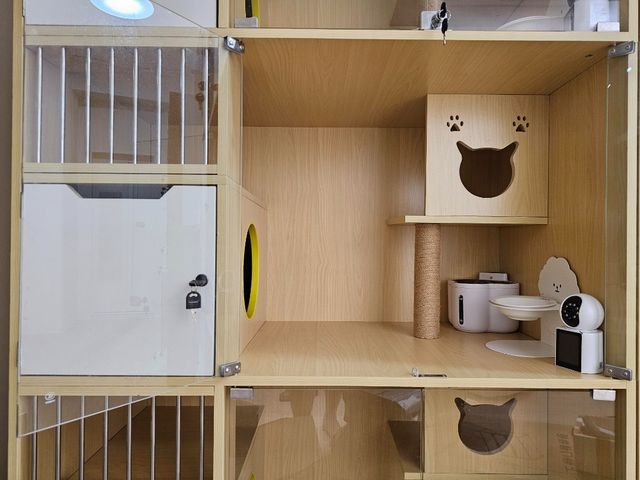 Pet Hotel Home Pet Boarding in Singapore, Geylang | The Ritz Catton ...