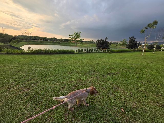 Dog Walking in Johor bahru, Johor Bahru | Run With Ur Dog | PetBacker Johor