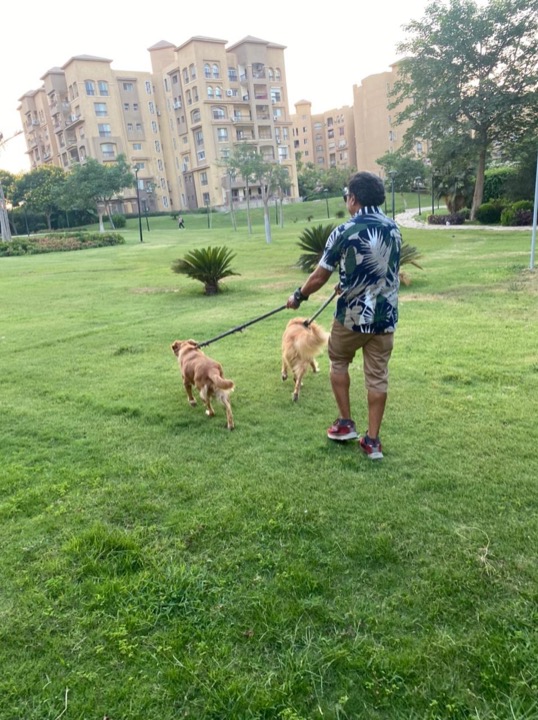 Dog Walking in Madinaty , New Cairo City | Madinaty Dog Worker ...