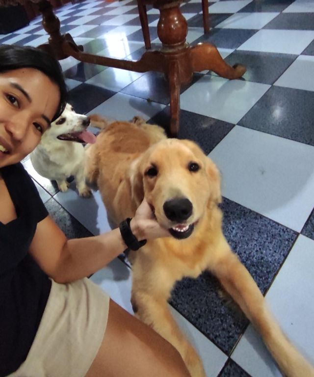 Pet Sitter in Pasay City metro Man, Doha | Doha Dog Sitter | PetBacker ...