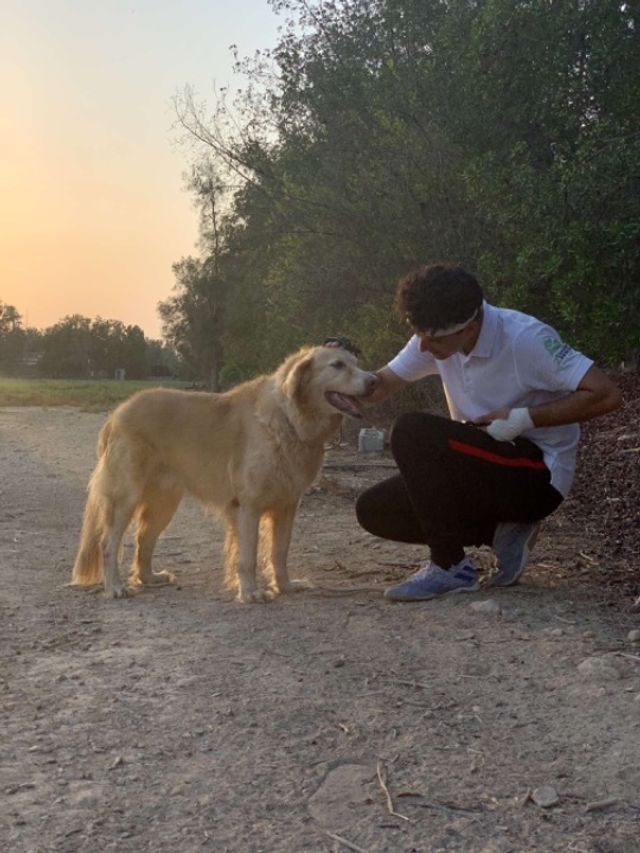 Pet Taxi Transport in , Doha | Paws Taxi | PetBacker Doha