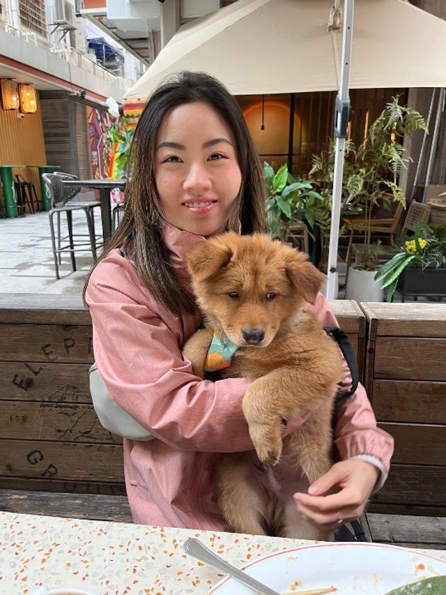 香港岛,香港岛,Percival Street的到府宠物保姆,定期上门照看 | Happy Tails Pet-sitting 🐶 😸 🐰 ...