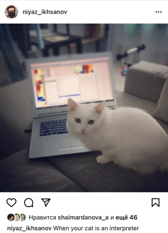 Pet Daycare in Khobar, Saudi Arabia, Al Khobar | Khobar, Sitting With ...