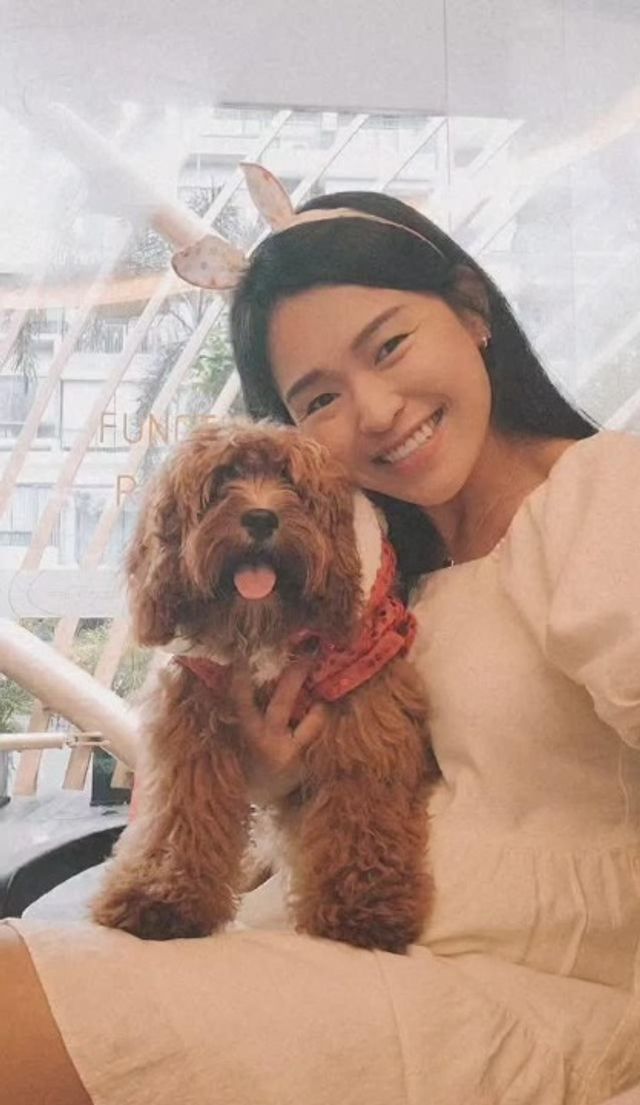 Pet Daycare in Serangoon, Singapore, Serangoon | Pawstaycay Serangoon ...