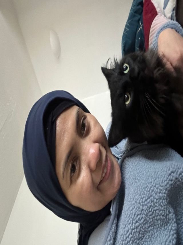 Pet Sitter in Dublin, Ireland , Dublin | Lucky Lia Cat Sitter ...