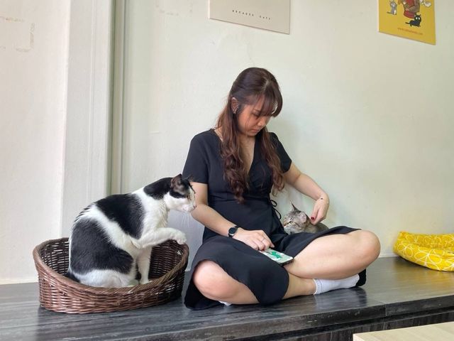 Pet Sitter in Fernvale Link, Sengkang | Pet Sitting! | PetBacker Singapore