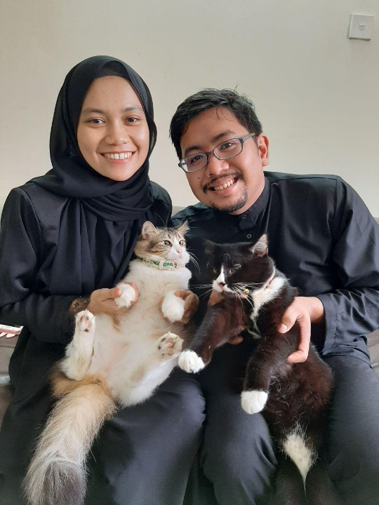 Pet Sitter in Shah Alam | ShaiShai Cat Sitting | PetBacker Selangor