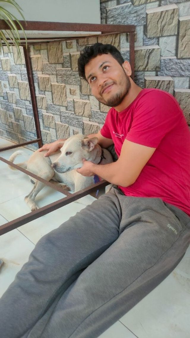 Dog Walking in Mumbai | Anup Pet Setting And Dog Walking Service ...