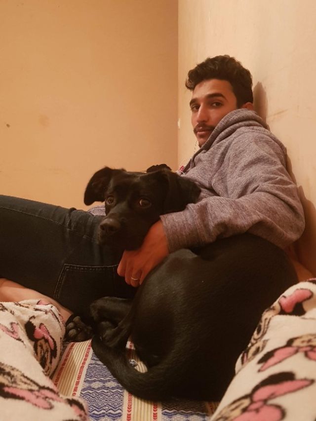 Pet Sitter in Doha, qatar, pearl, , Doha | Pet Sitting | PetBacker Doha ...
