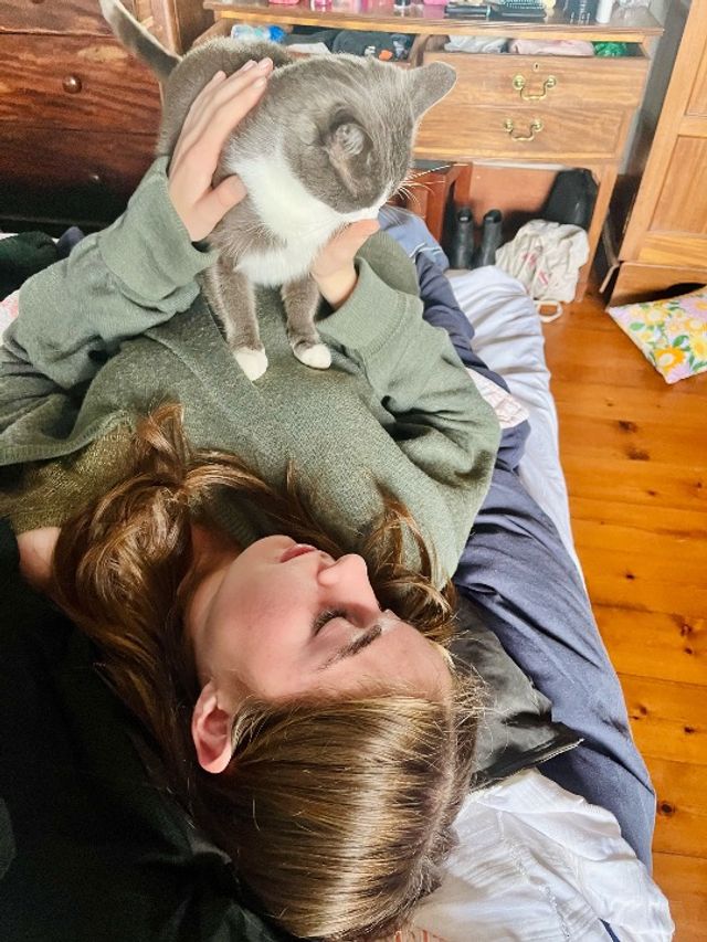 MascotaServicios de cuidado de mascotas en casa del dueño en Cape Town ...