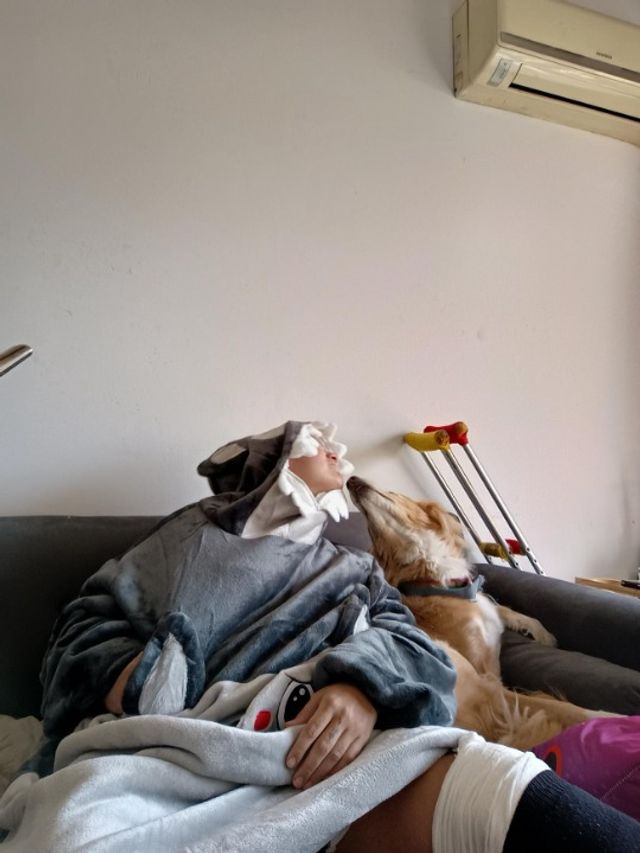 MascotaServicios de cuidado de mascotas en casa del dueño en Buenos ...