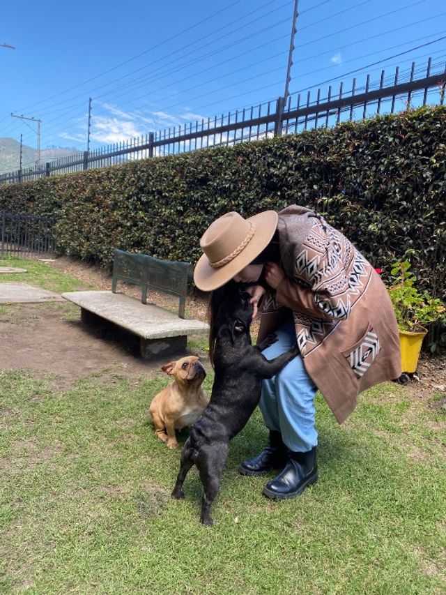 Dog Walking in Ciudad de Panamá , Panamá | Ciudad De Panamá - Paseador ...