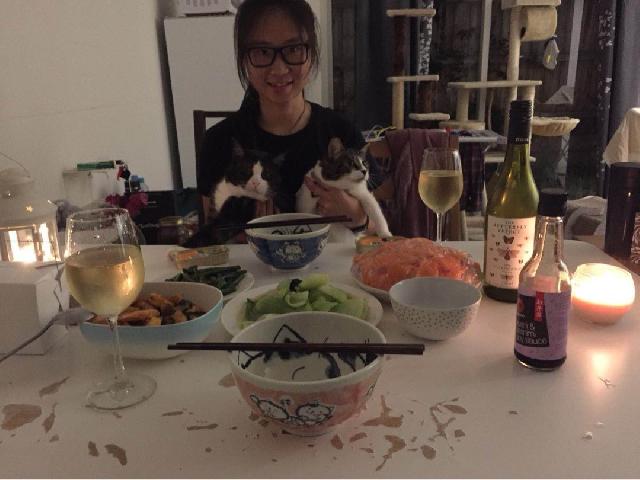 Pet Boarding in Bowmore Road, Noble Park | Mable Cat Boarding ...