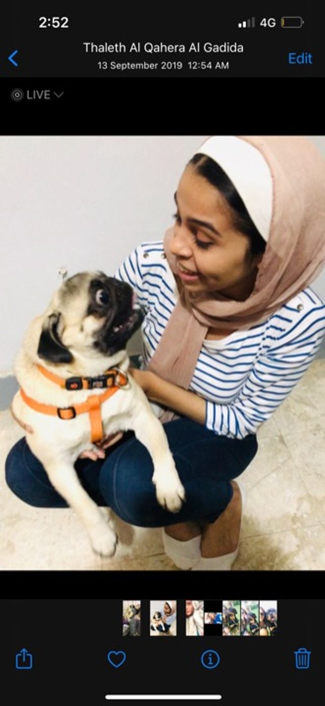 Pet Hotel Home Pet Boarding in New cairo, Maadi, New Cairo City | Yomnah | PetBacker Cairo ...