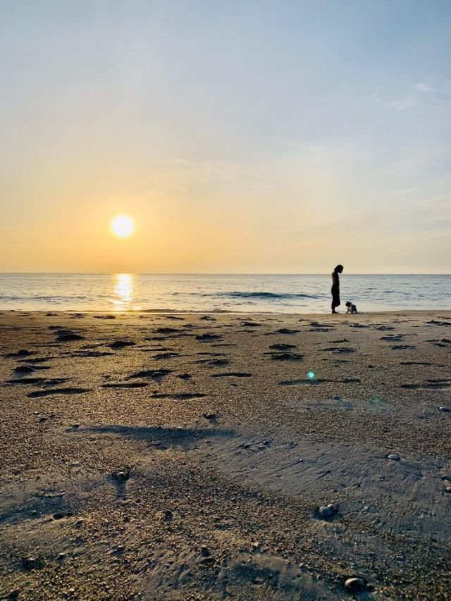 Pet Daycare in Rincón Puerto Rico, Rincón | Rincónpr_cuidadora ...