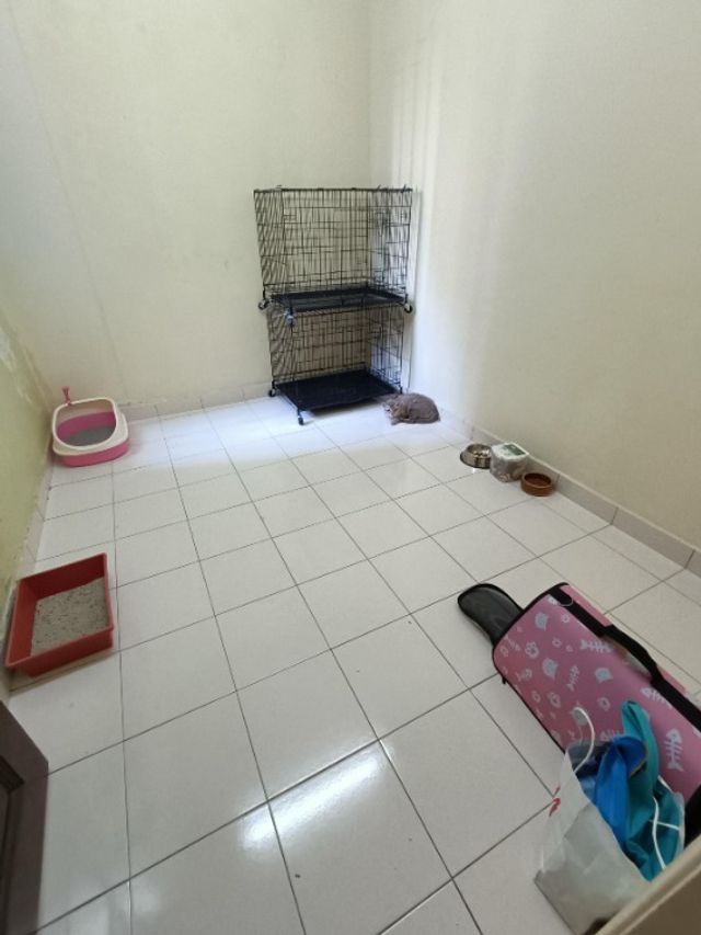 Cat Hotel Home Pet Boarding in Kajang, Bangi, KL | Qaireen Cat Story ...