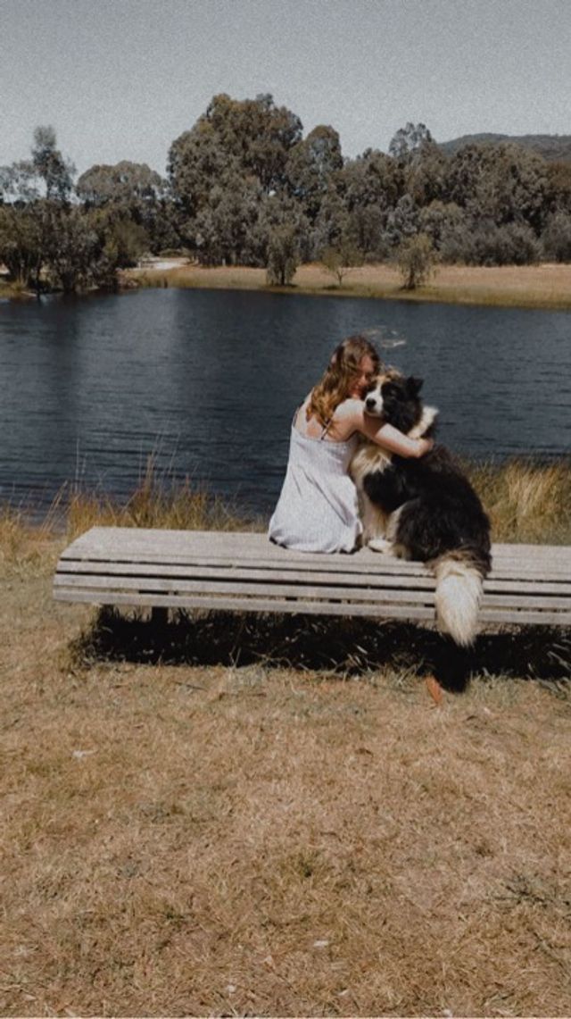 Dog Walking in Mayfair Court, Chirnside Park | Dog Walking In East ...